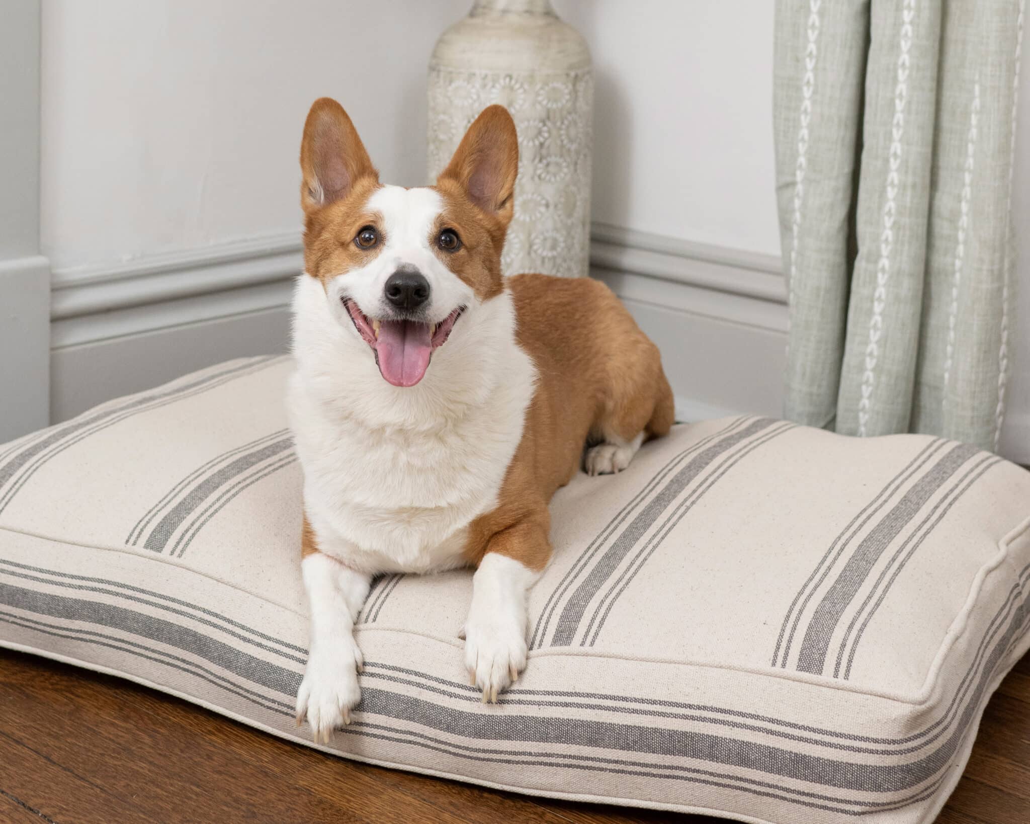 Rectangle Dog Bed Cushion | J’adore Custom Pet Beds