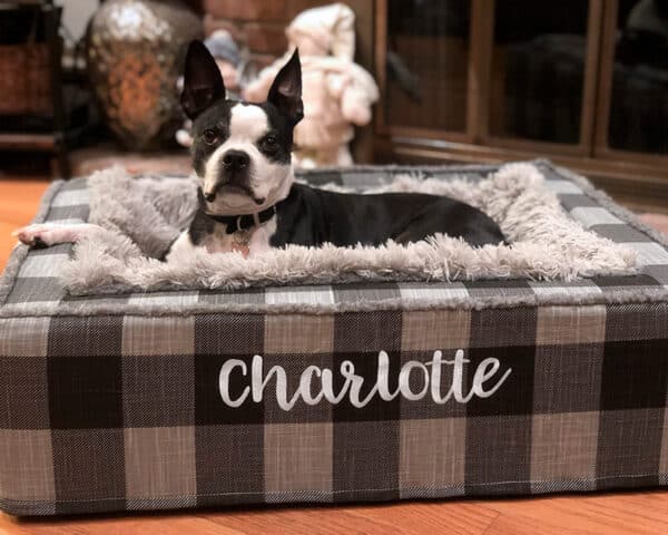 Throne Pet Bed | J'adore Custom Pet Beds