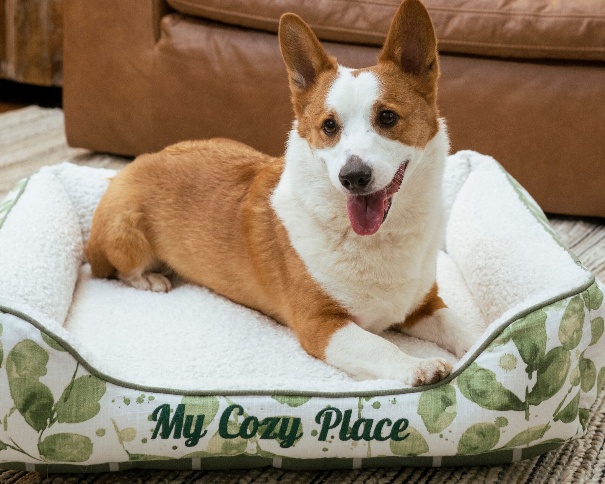 Cuddle Pet Bed | J'adore Custom Pet Beds