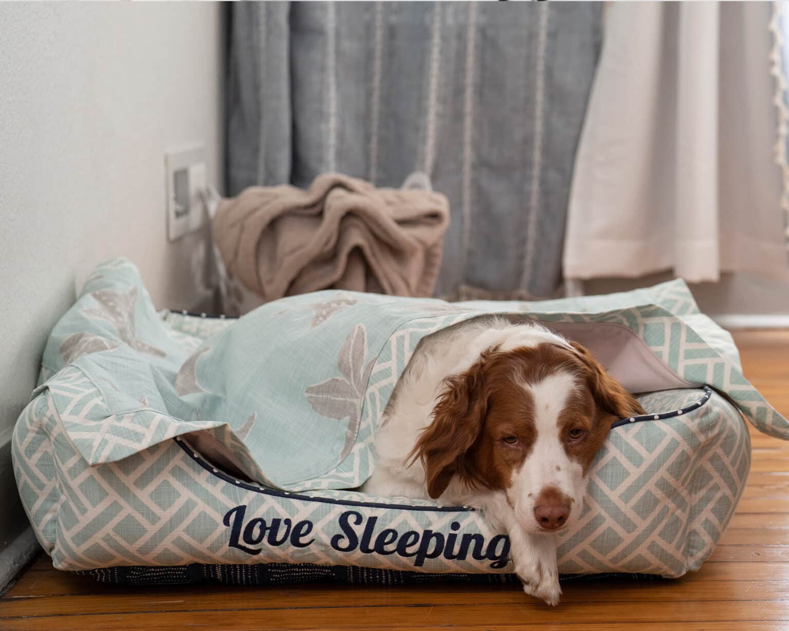 Cuddle Pet Bed | J'adore Custom Pet Beds