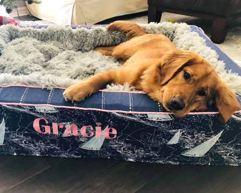 Throne Pet Bed | J'adore Custom Pet Beds