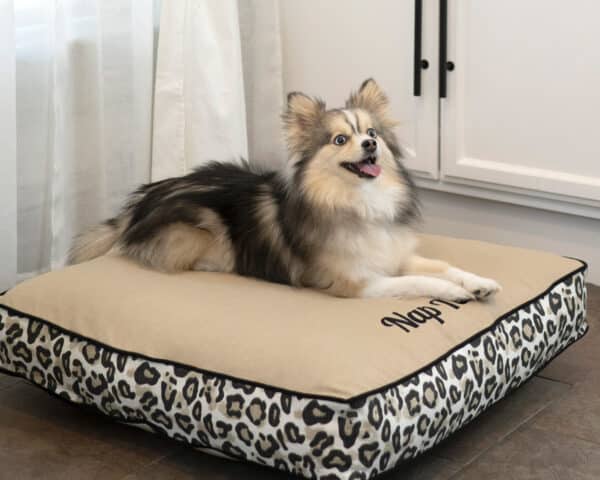 Square Pet Bed | J'adore Custom Pet Beds
