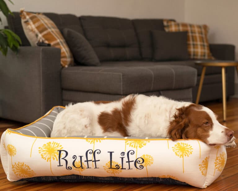 Cozy Cuddle Pet Bed | J'adore Custom Pet Beds
